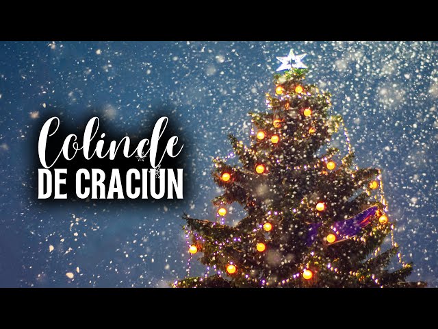 Colinde Magice Traditionale de Craciun Colaj 2023 Colinde
