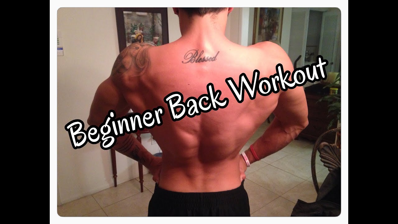 Beginner Back Workout Youtube