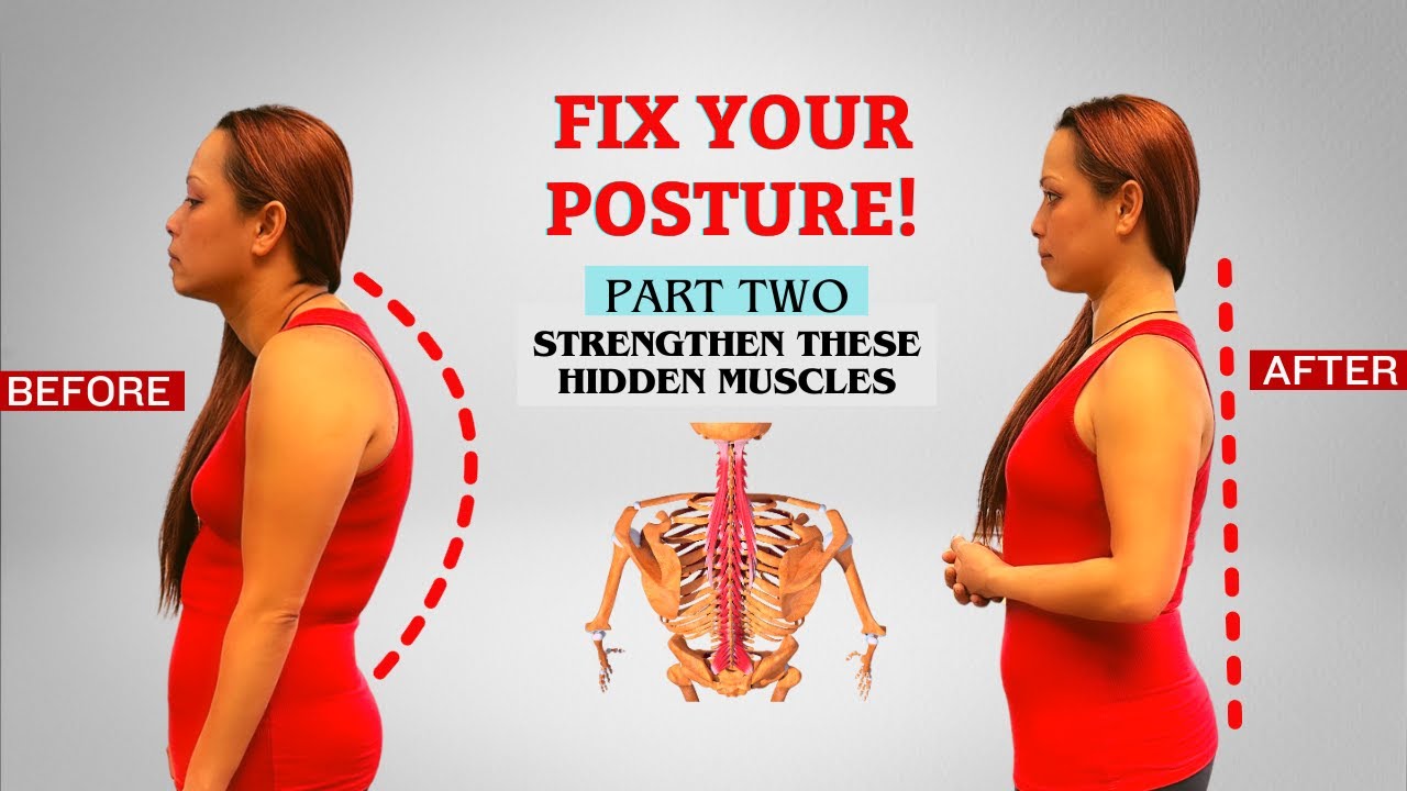 How To Fix Your Posture Module 2 Activate These Hidden Posture Muscles