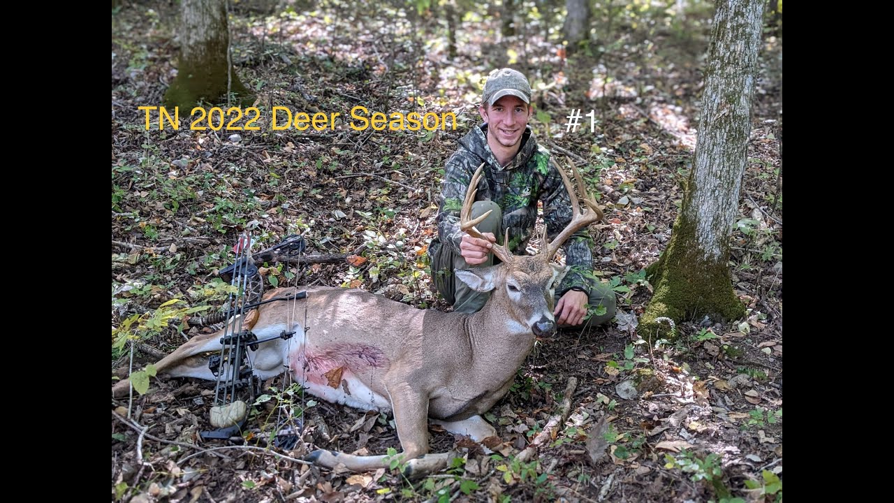 Tn Archery Season Success Big Buck Down Youtube