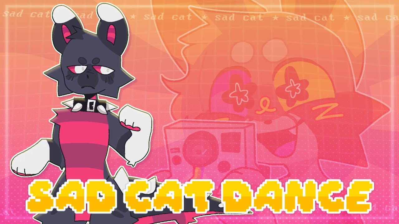 Sad Cat Dance Am 4k Special Youtube