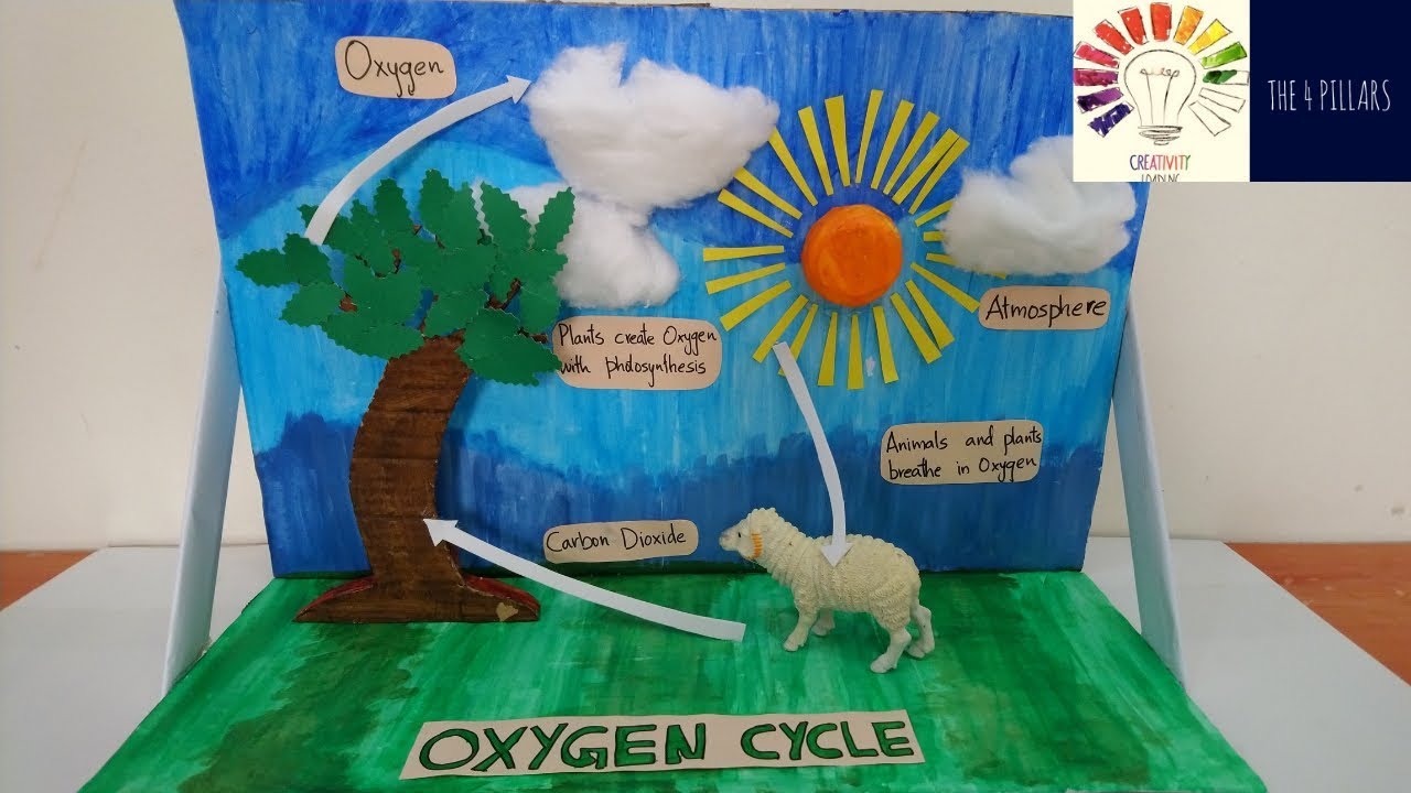Simple Carbon Cycle Model