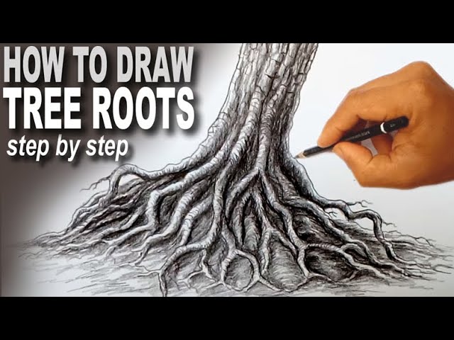Pencil Drawing Of Tree Roots