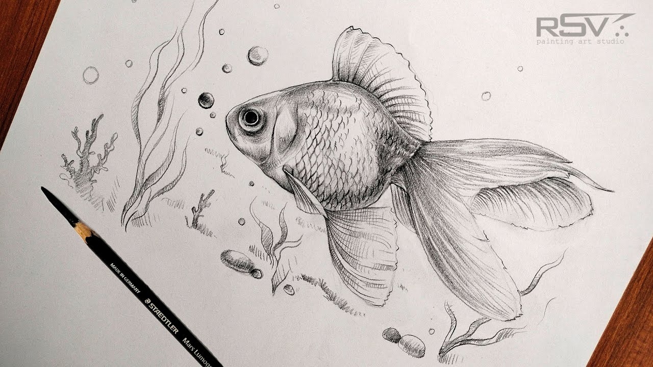 Pencil Drawing Images Of Fish Easy Realistic Fishes Drawing Youtube
