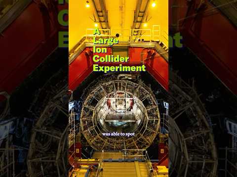 How A Particle Collider Turned Lead Into Gold Transcript Chat And