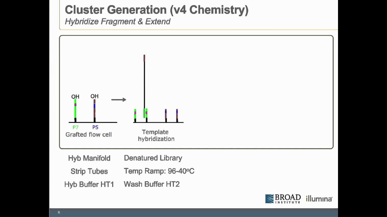 Ga Boot Camp Illumina Cluster Generation Chemistry Youtube