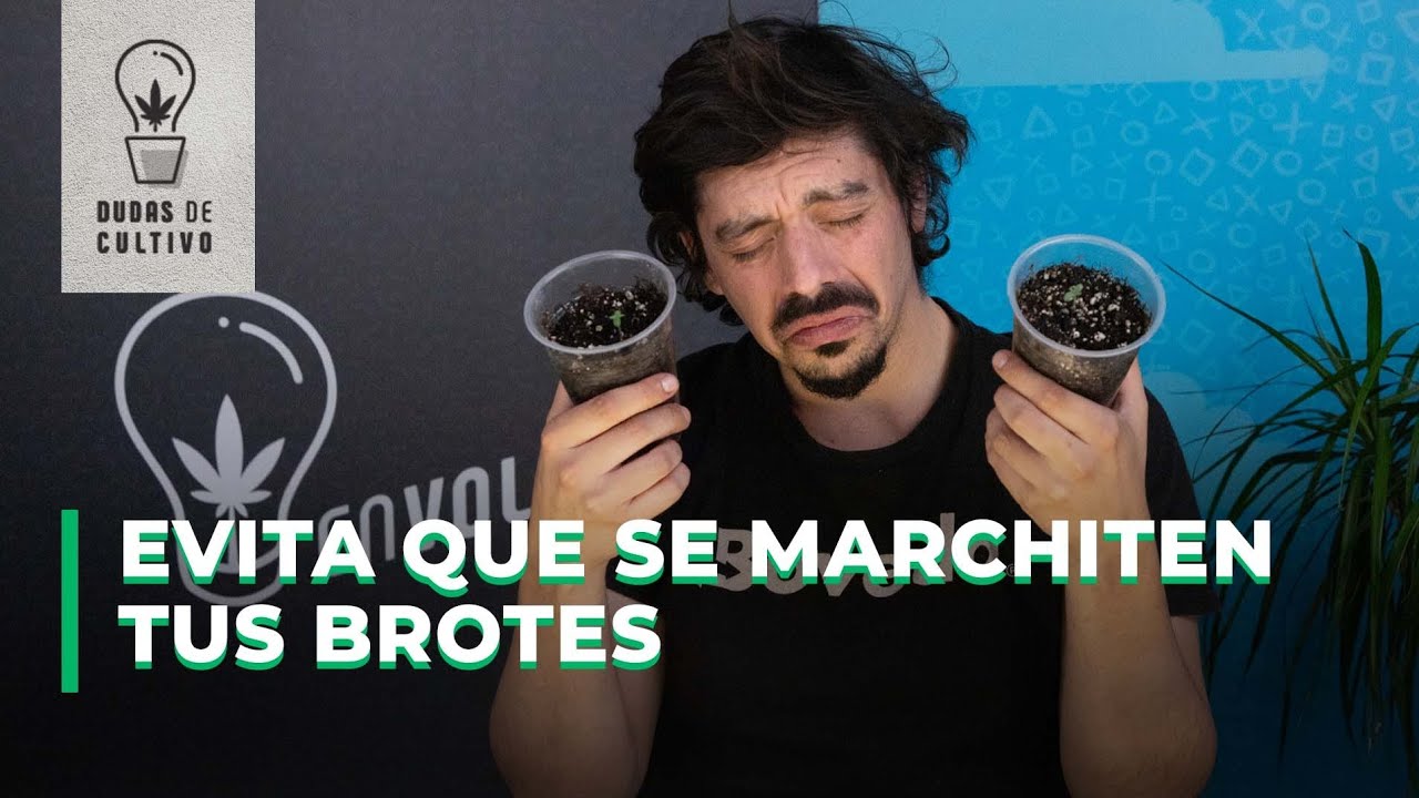 Cultivo En Volá