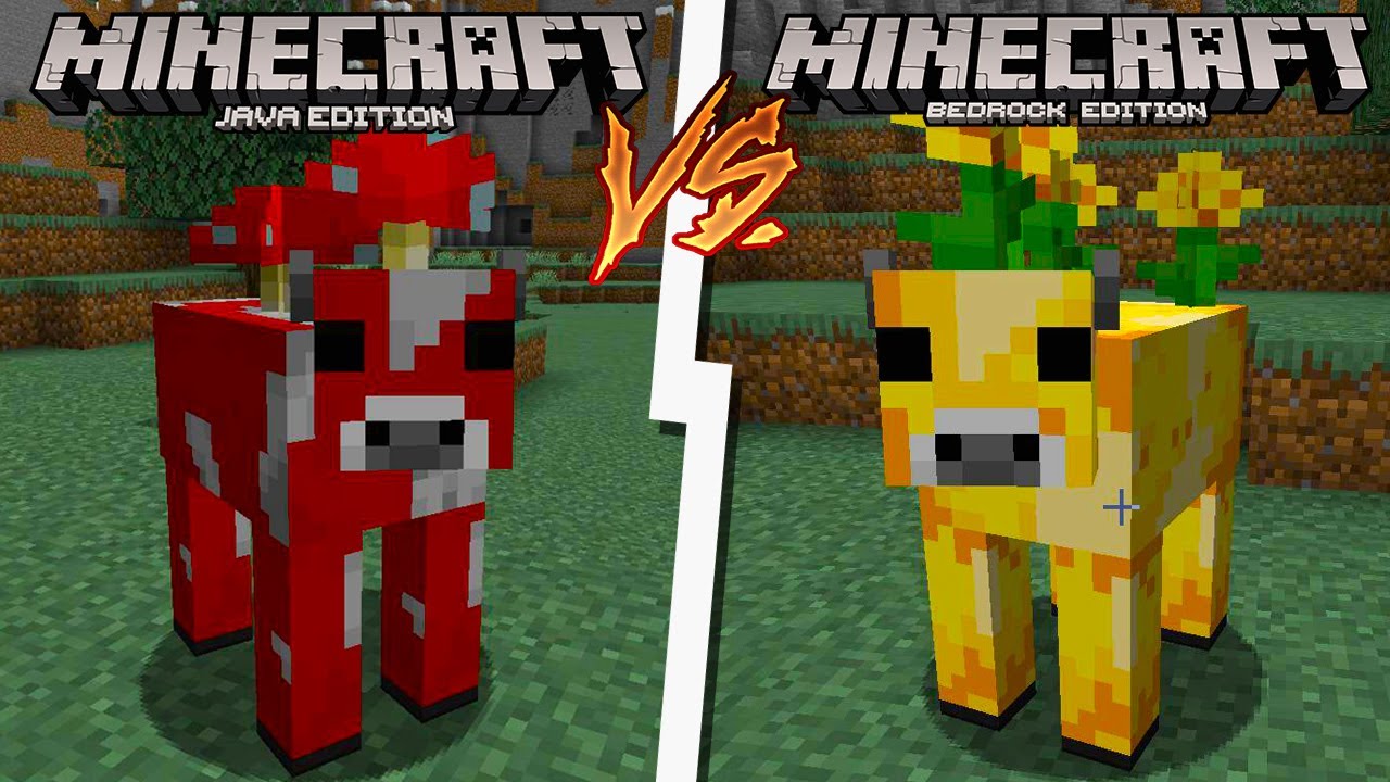 Java Vs Bedrock Youtube