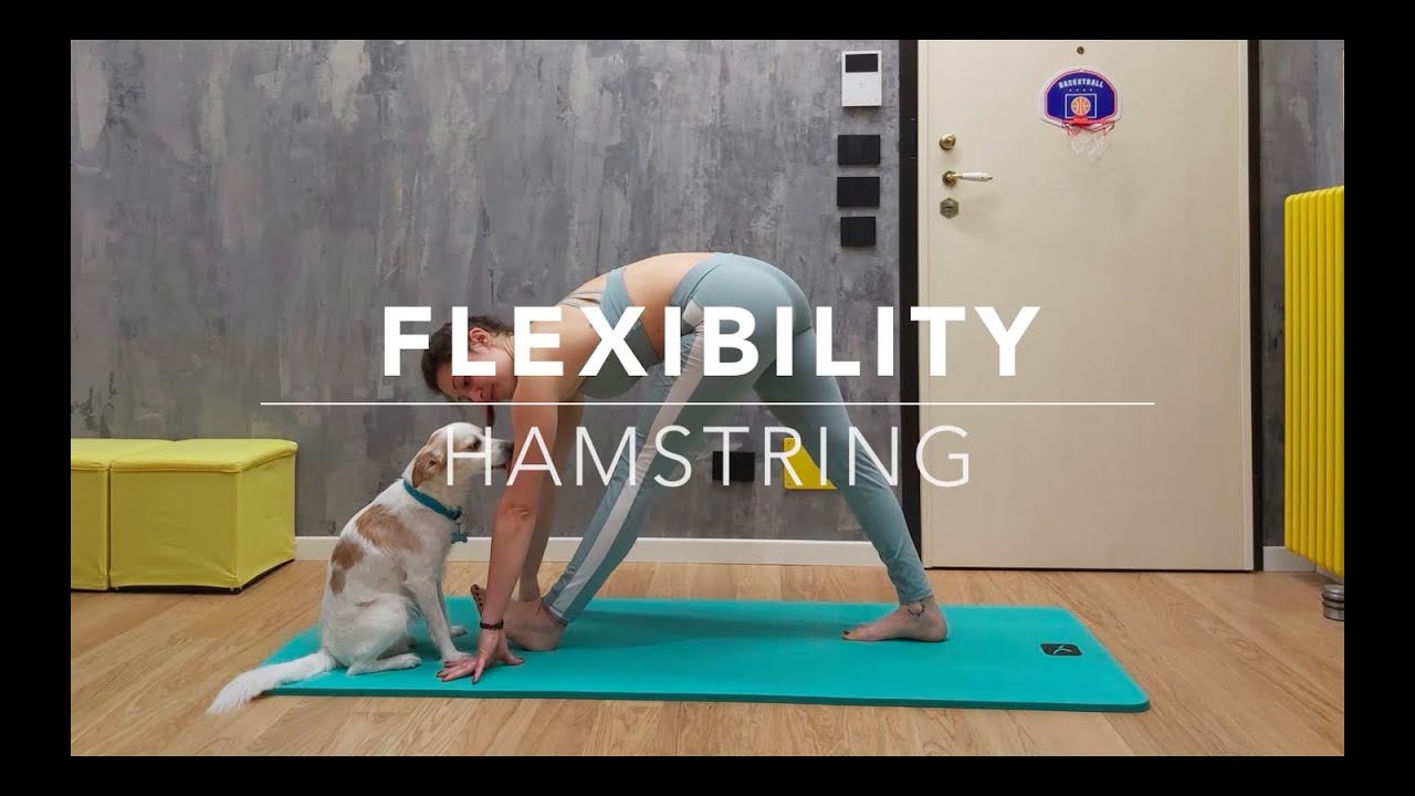 Flexibility Hamstring Youtube