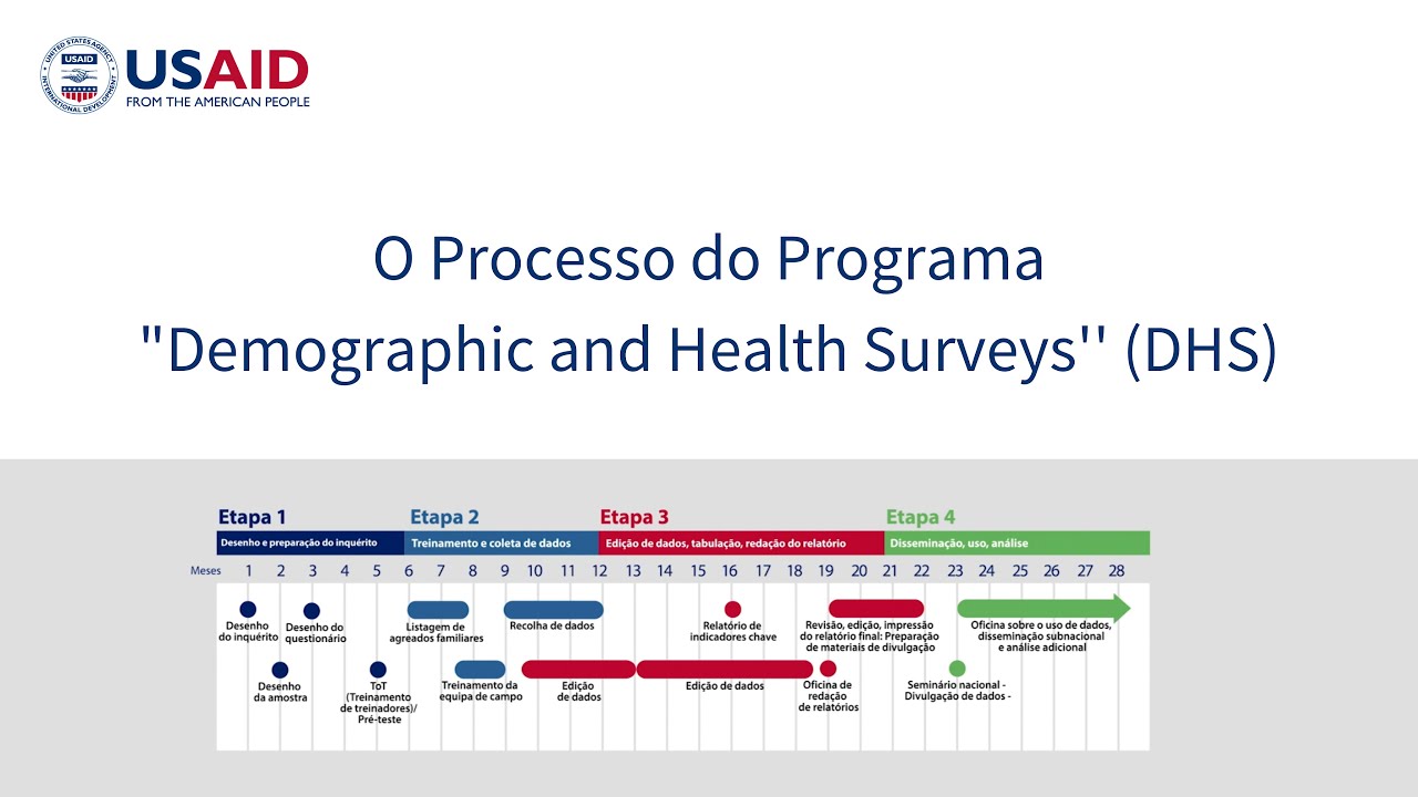 O Processo Do Programa Demographic And Health Survey Dhs Youtube