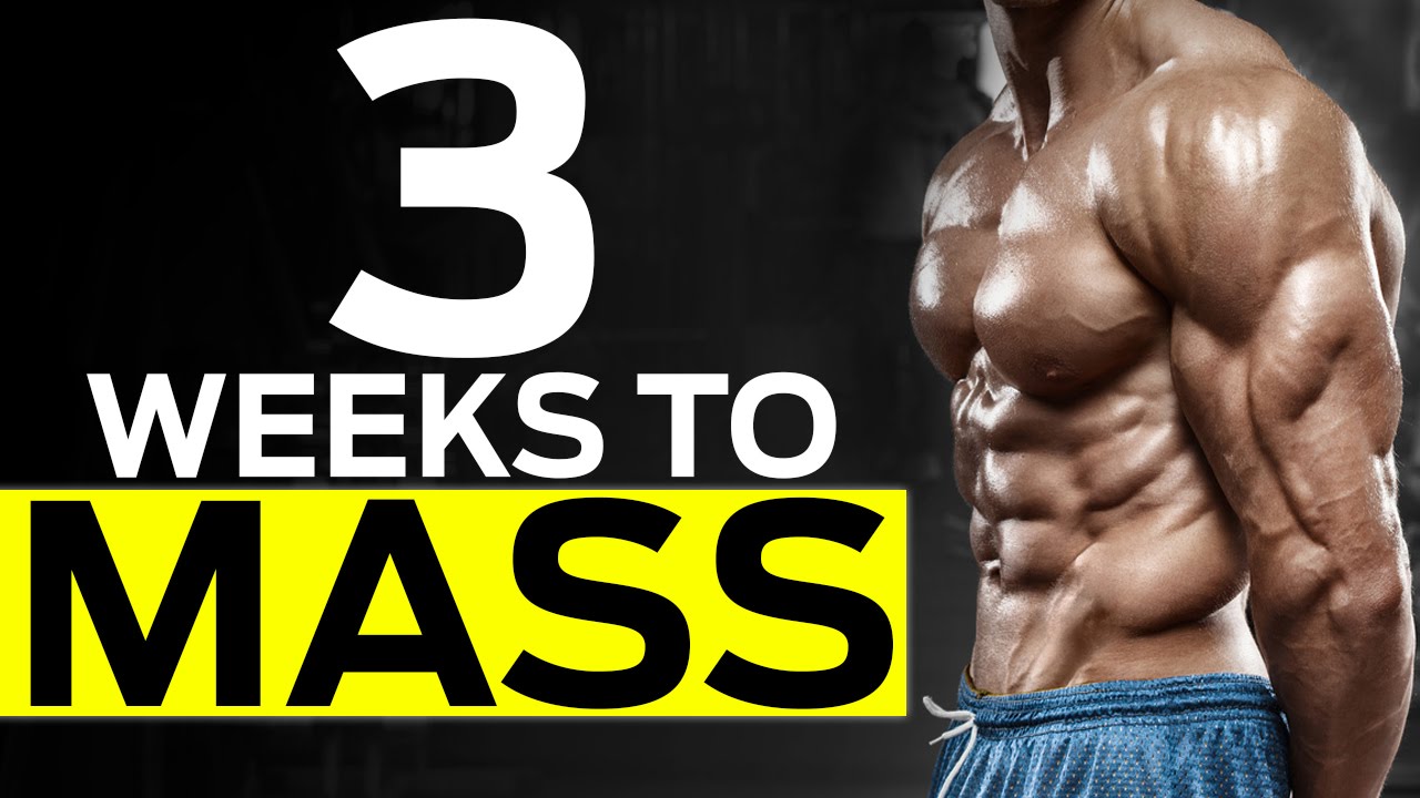 Best Mass Building Workout Routine For Beginners Eoua Blog