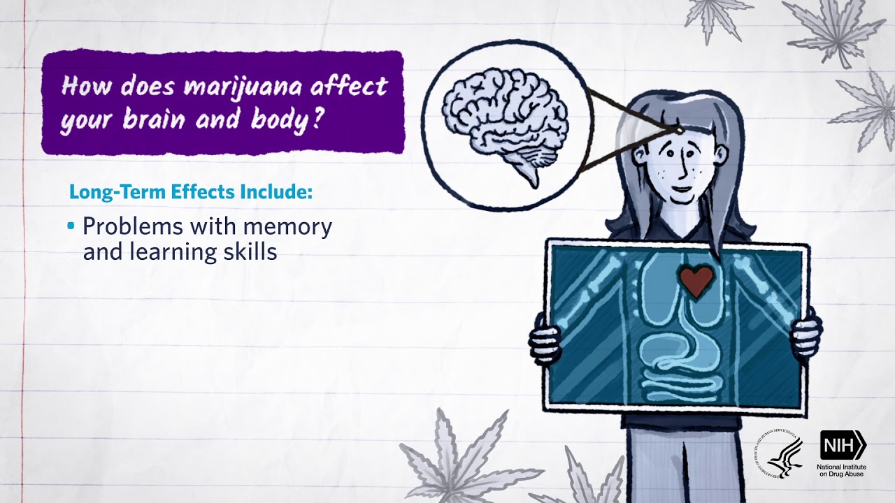 Mind Matters How Does Marijuana Affect Your Brain And Body Cbd Rumor
