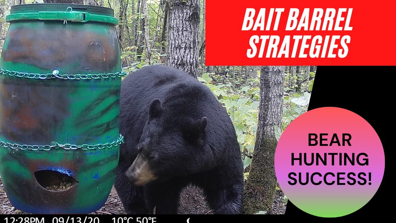 Barrel Baiting Strategies From A Bear Hunting Guide Youtube