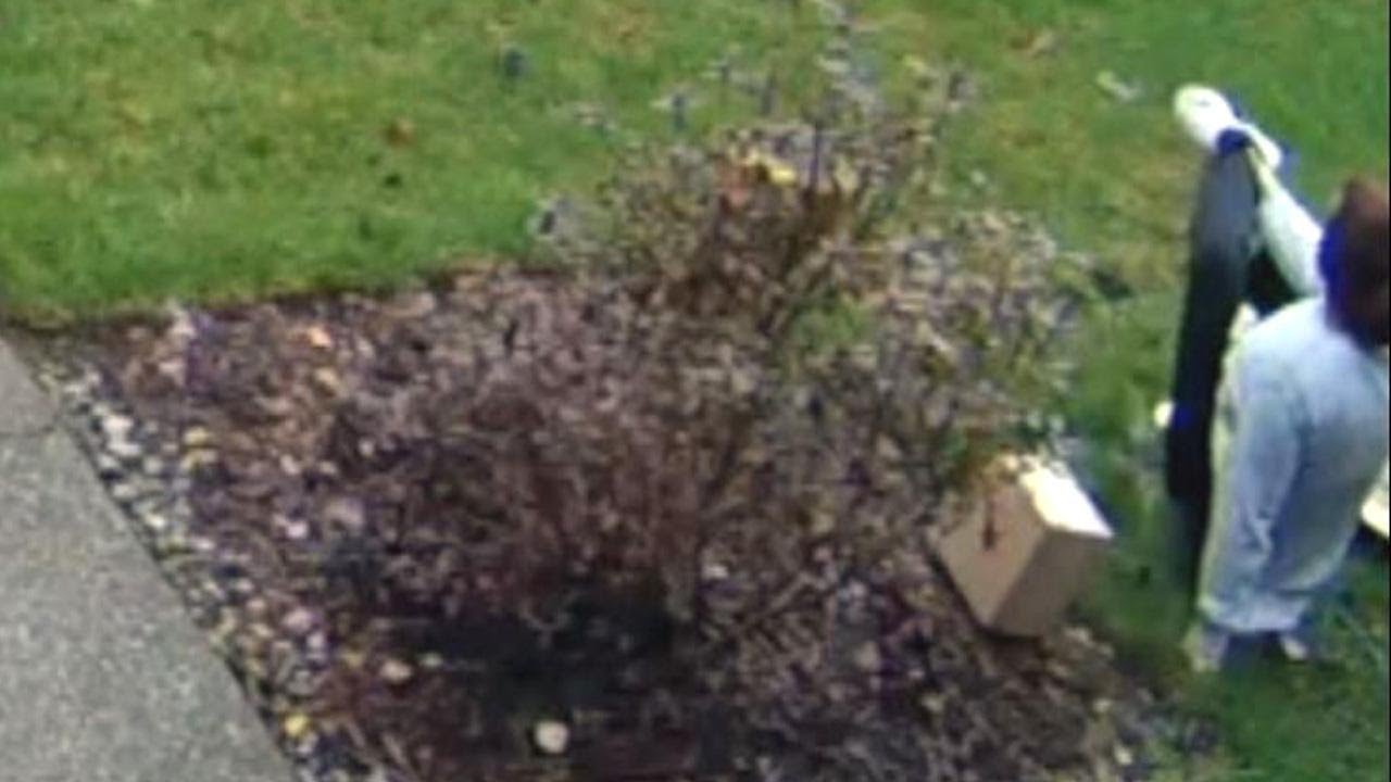Porch Pirate Takes A Tumble While Trying To Steal Packages Youtube