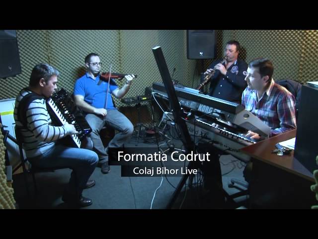 Formatia Codrut - Colaj Bihor Live