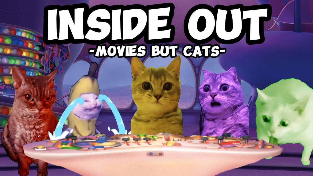 Cat Meme Movies Inside Out Recap Kittybnk