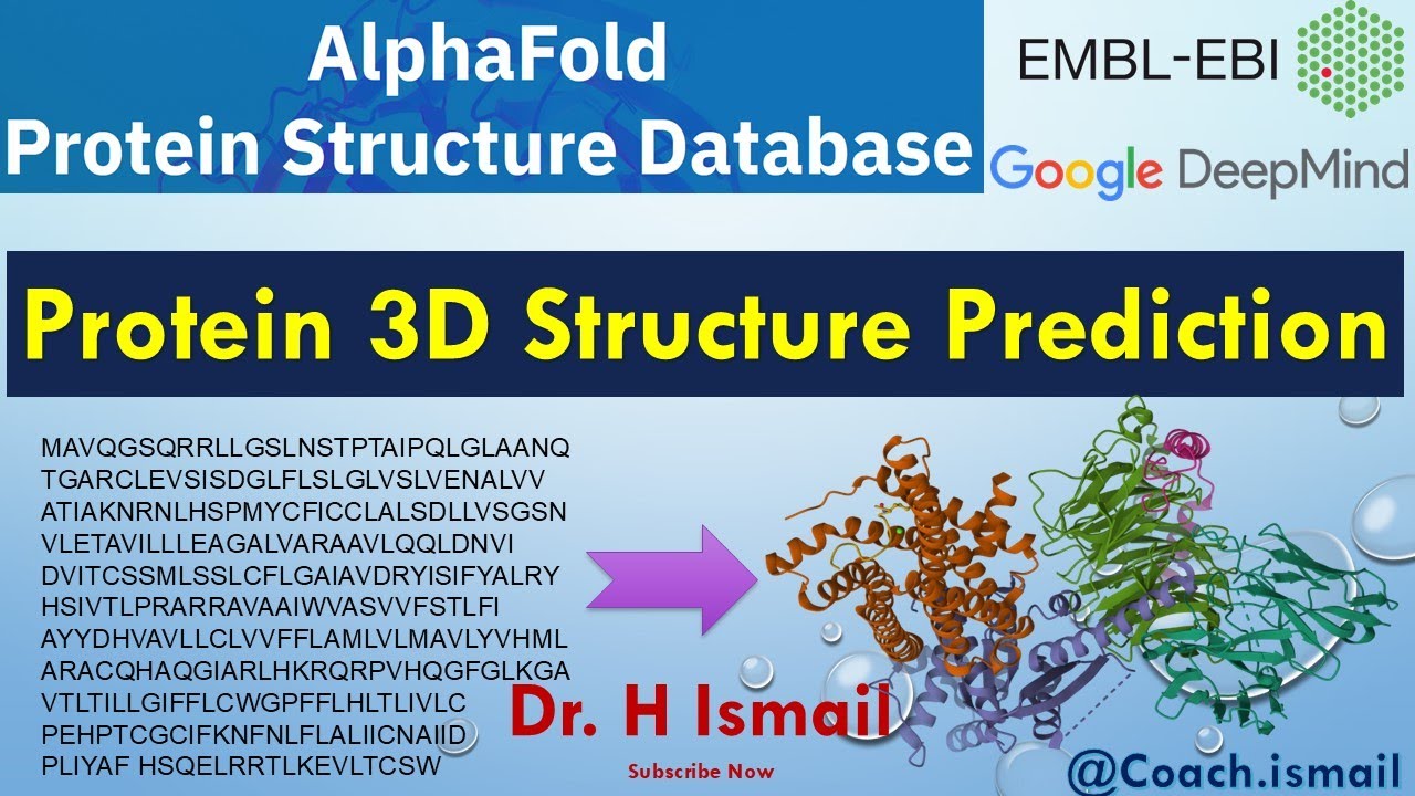 Protein 3d Structure Prediction Using Alphafold Results