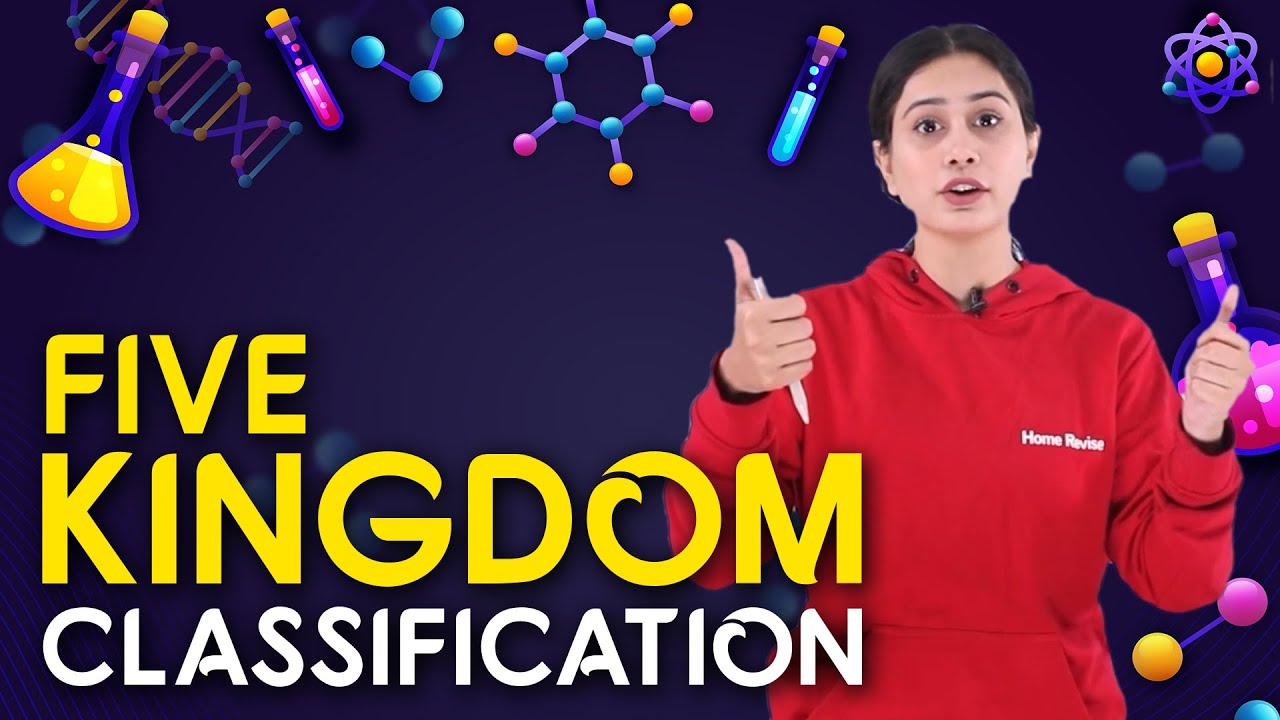 Five Kingdom Classification Science Home Revise Youtube