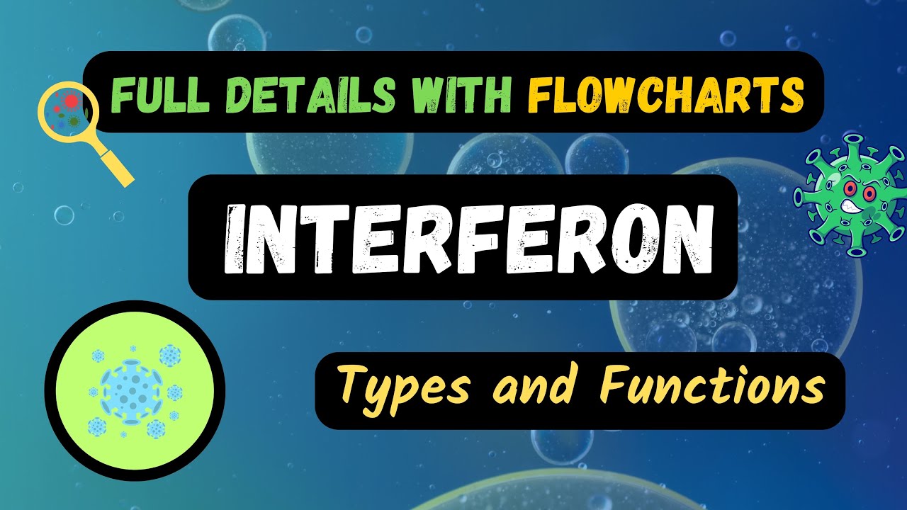 Interferons Types Of Interferons How Cells Communicate Each Other