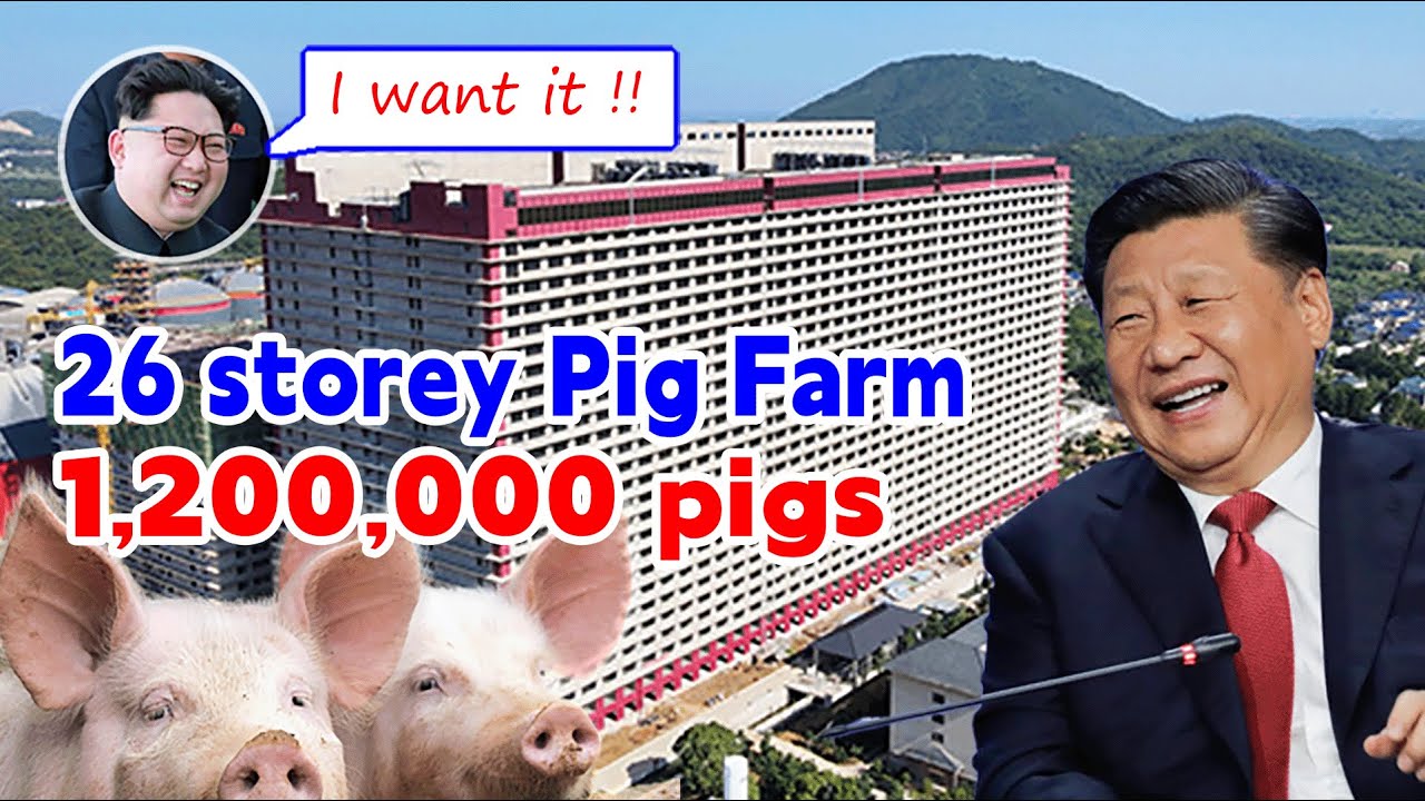 The Largest Pig House In The World 1 2 Million Pigs In One Building