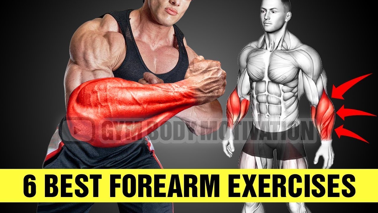 6 Quick Effective Forearms Exercises Youtube