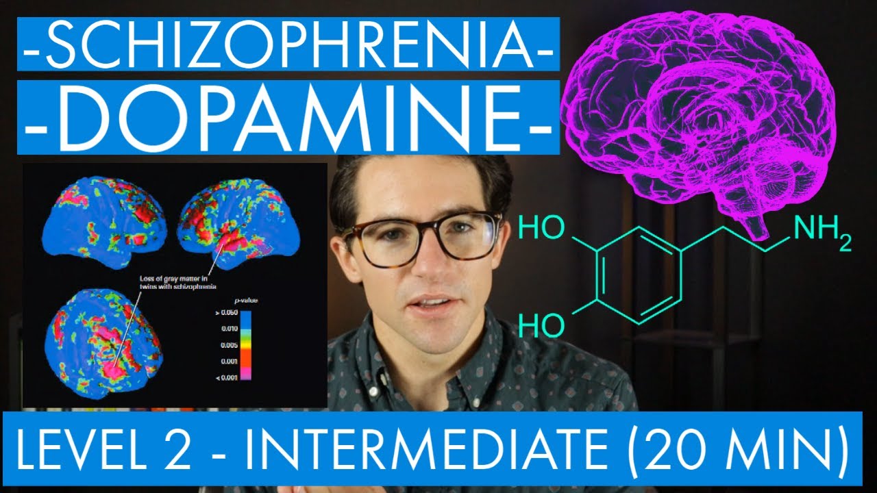 Schizophrenia And Dopamine Level 2 Intermediate Youtube
