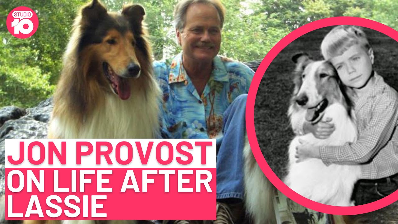 Jon Provost On Life After Lassie Studio 10 Youtube