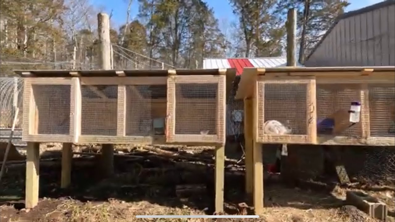 Our Rabbitry Expands Youtube