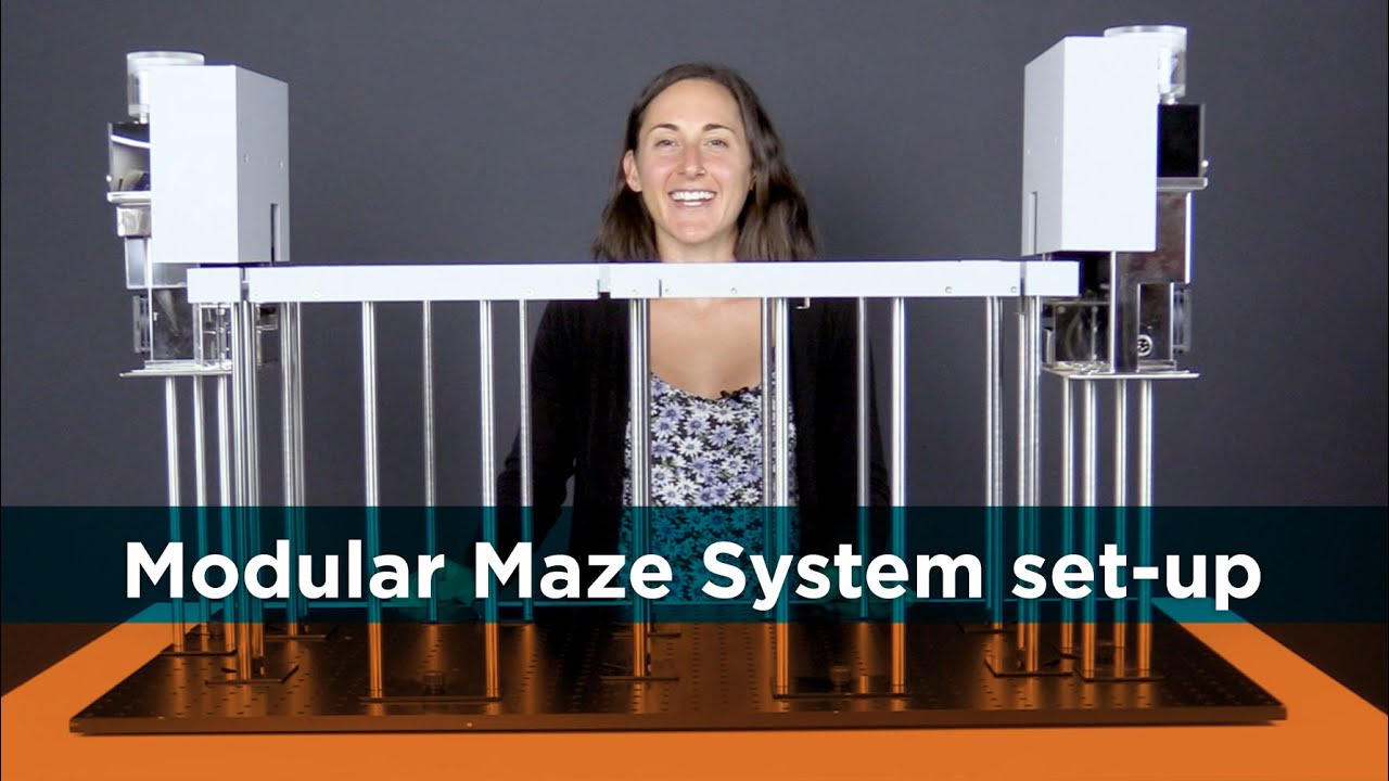 Modular Maze System The Free Maze Setup Youtube