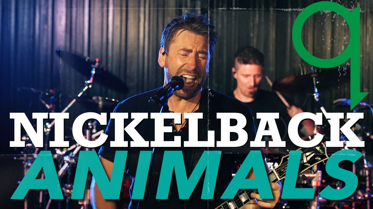 Nickelback Animals Live Youtube
