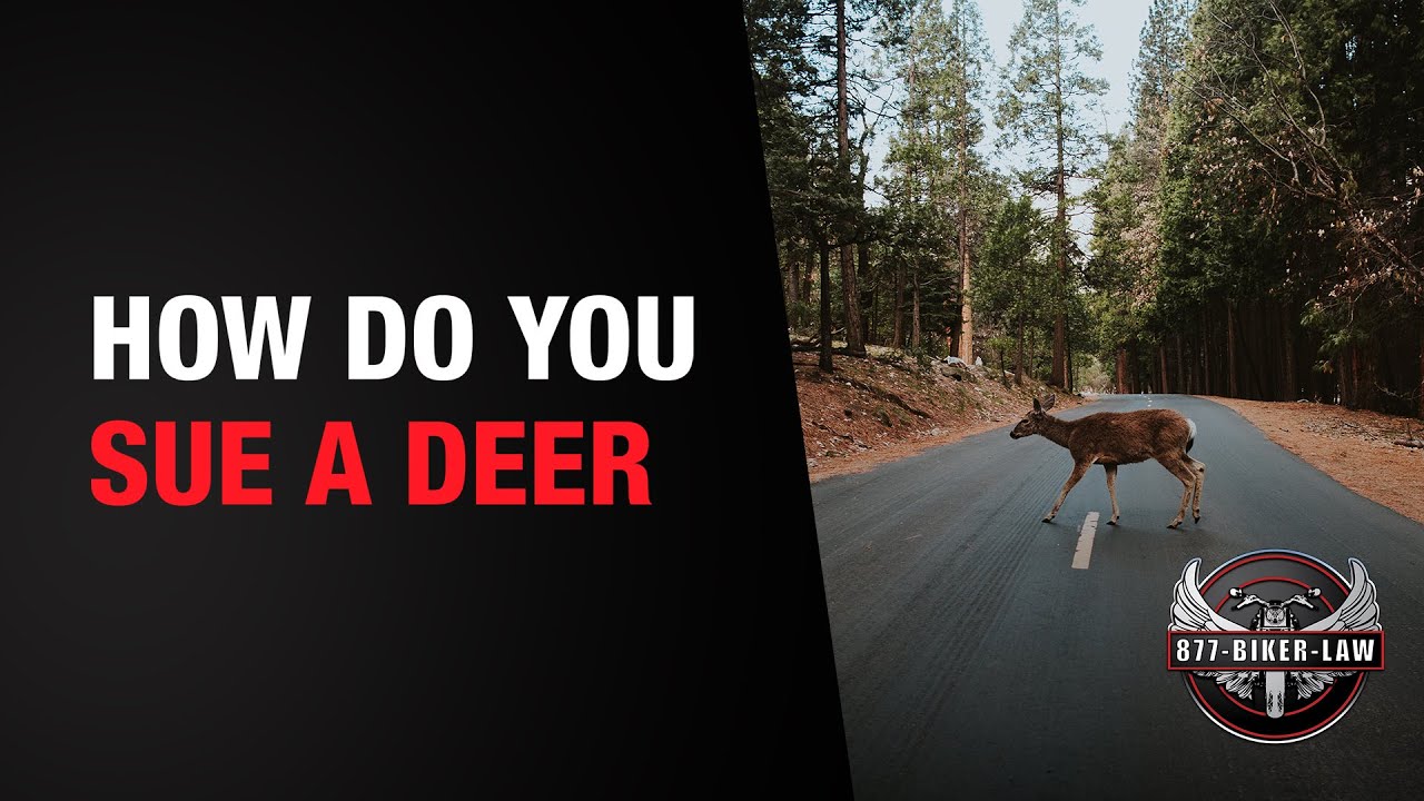 How Do You Sue Roblox