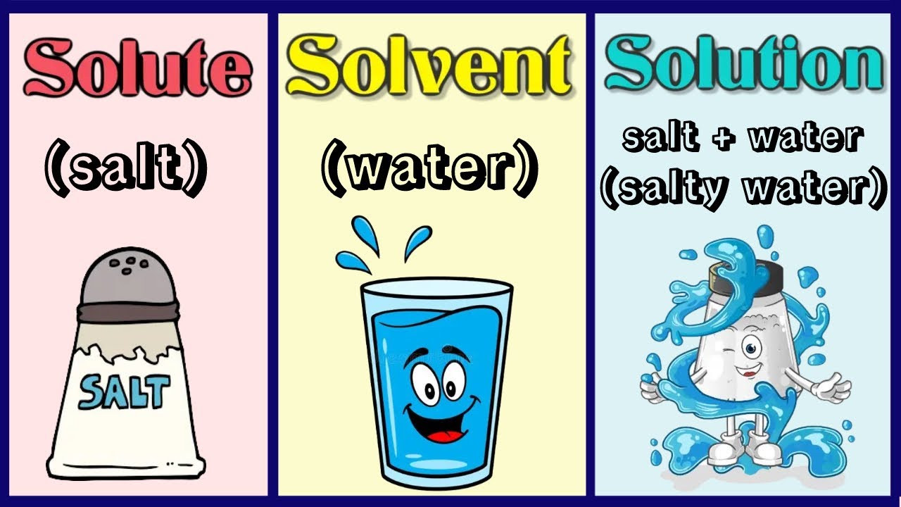 Solute Solvent And Solution What Are Solute And Solvent What Is A