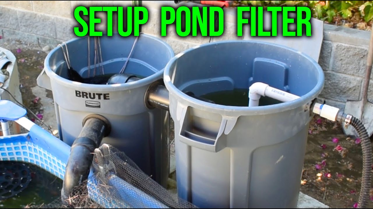Koi Pond Filters Homemade Homemade Ftempo