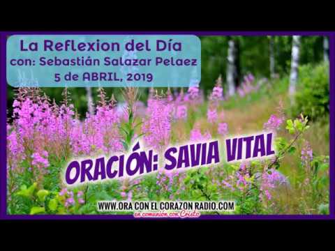 Oracion Savia Vital La Reflexion Del Dia Viernes 5 De Abril 2019