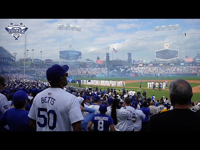 Ice Cube Dodgers