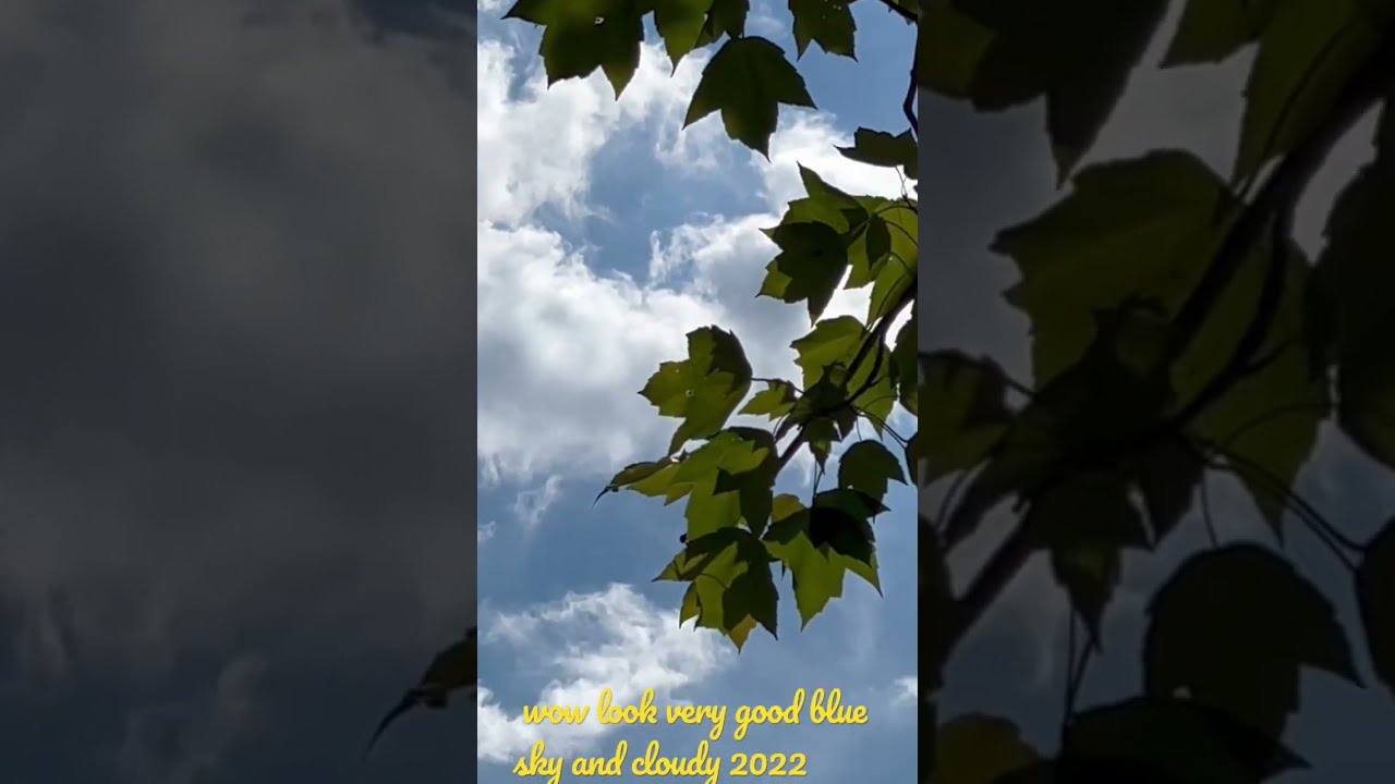 September 4 2022 Youtube