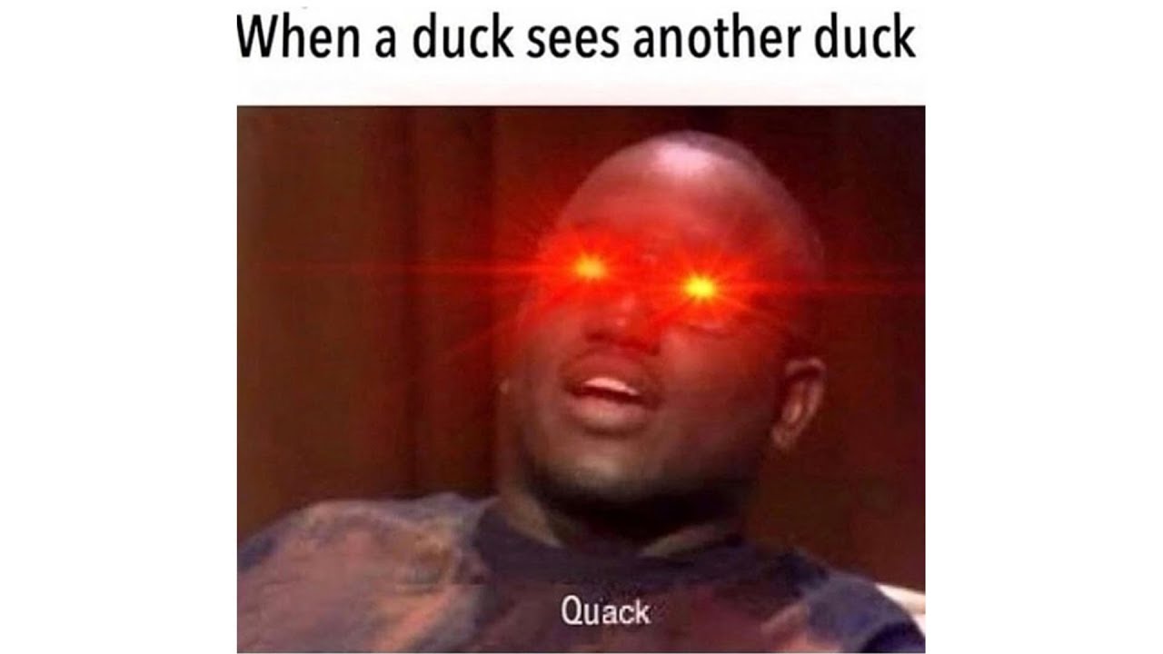 Brainy Memes Episode 64 Youtube