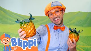 Blippi Learns Gymnastics Educational Videos For Kids Videos For Kids