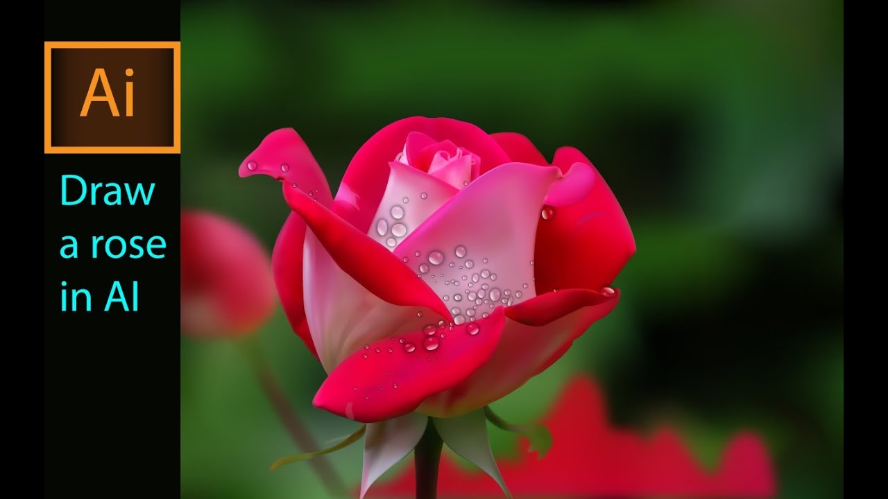 Mesh Tool Draw A Realistic Rose In Adobe Illustrator Youtube