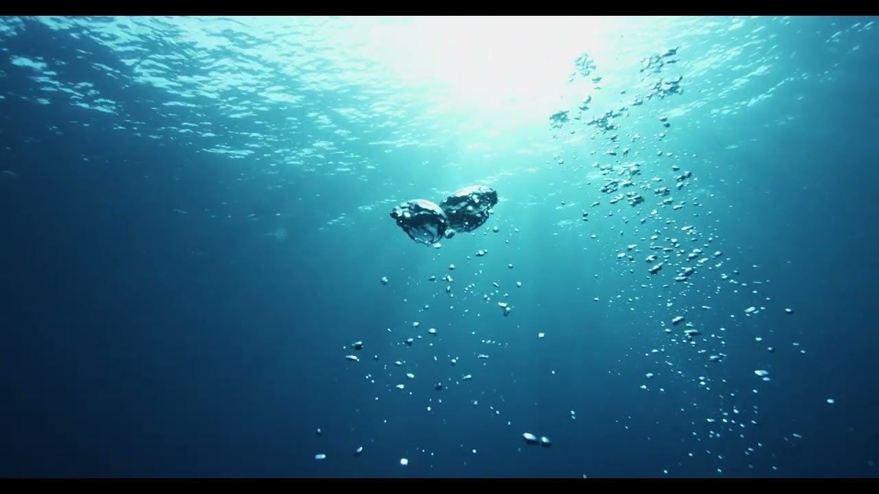 Bubbles Rising From Beneath Ocean Surface Free Stock Video Footage