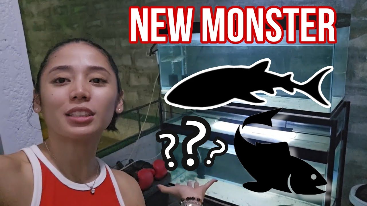 New Monster Fish Feeding Time Youtube