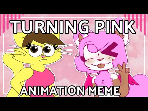 Turning Pink Animation Meme Collab Ft Ayla Munchkin Cat Youtube