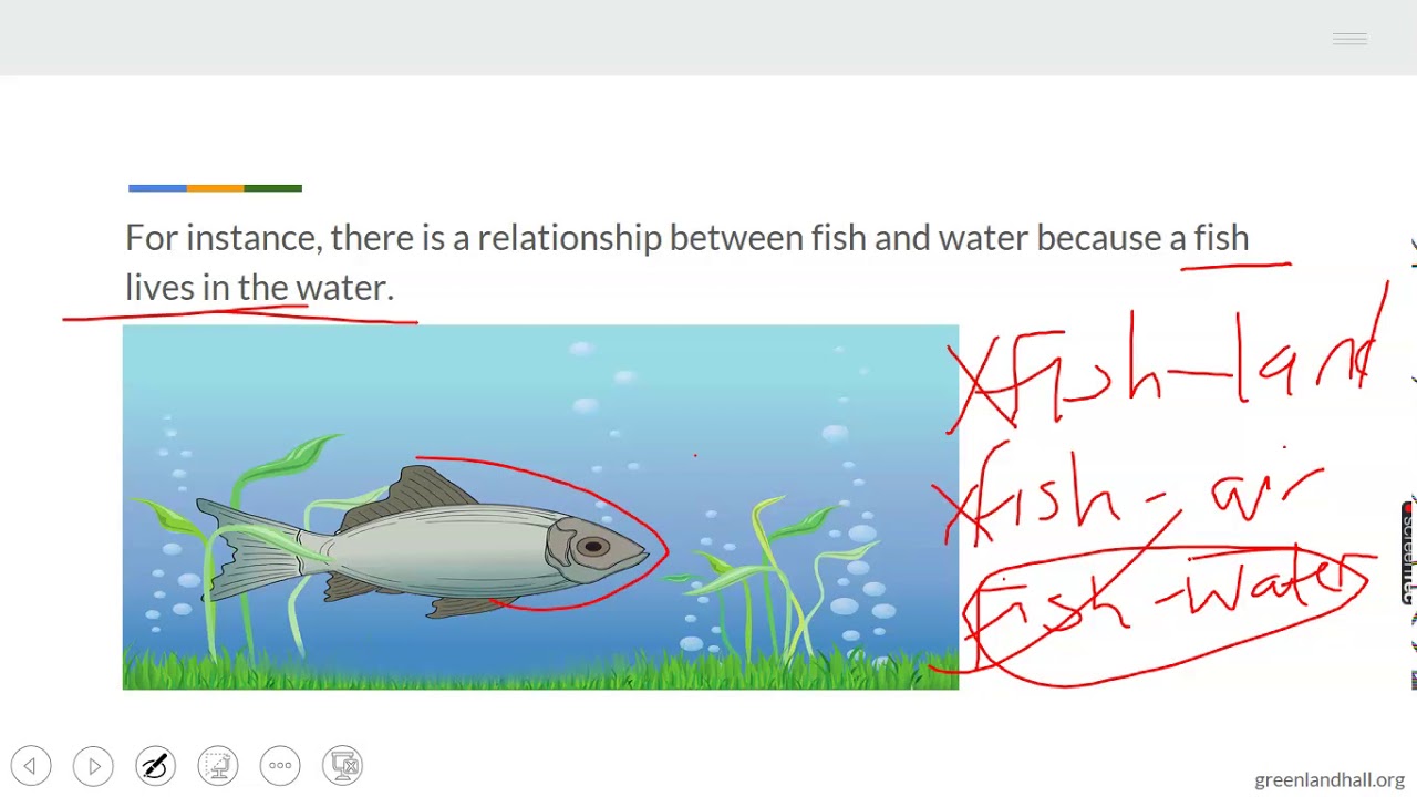 Analogies Youtube