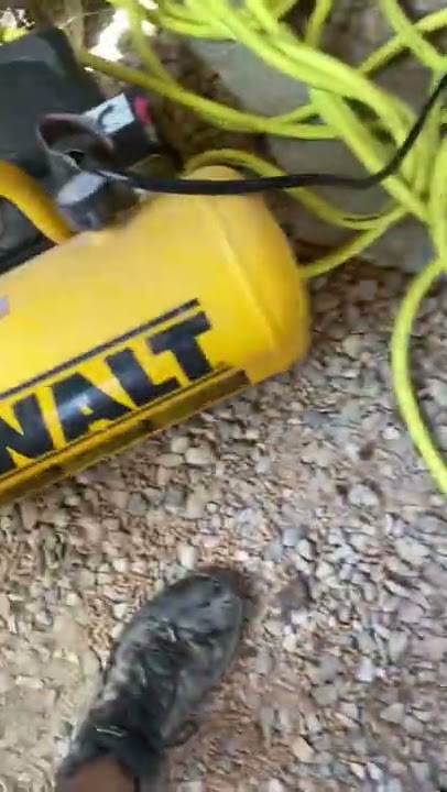 Alligator Pool Pump Is Broken Fish Need Oxygen ёяш ёяряёялз Shorts