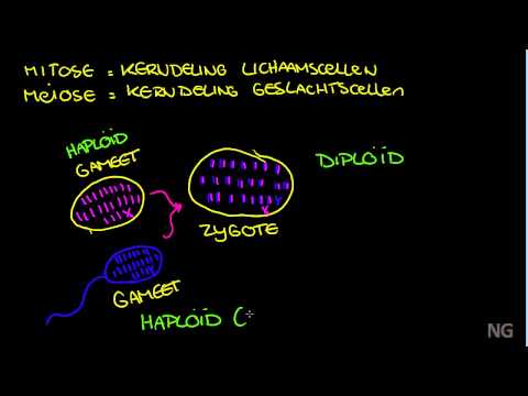 Celdeling En Ontwikkeling Mitose En Meiose Videoplatform