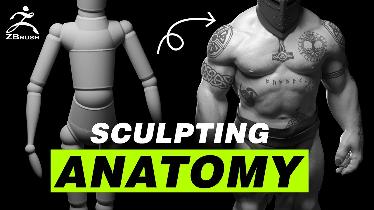 Zbrush Anatomy Sculpting Hands