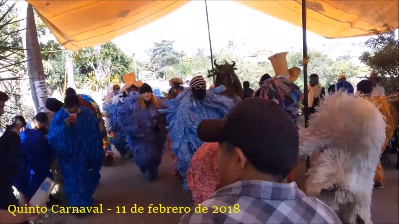 Quinto Carnaval 2018 En Zocoteaca De León Youtube