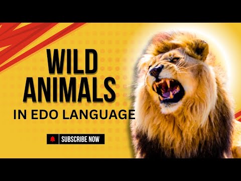 Wild Animals In Edo Language Youtube