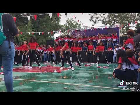 Baile Escolar Youtube