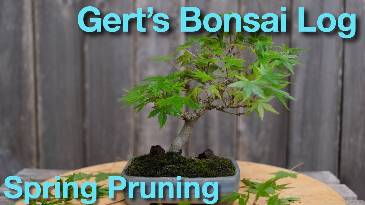 Spring Pruning Youtube